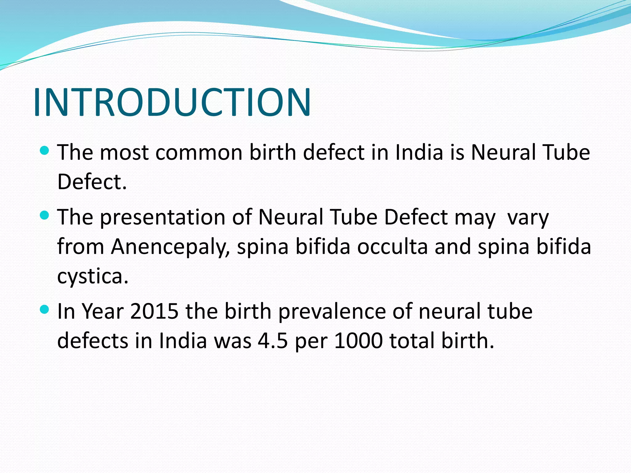 Neural tube defect presentation | PPTX