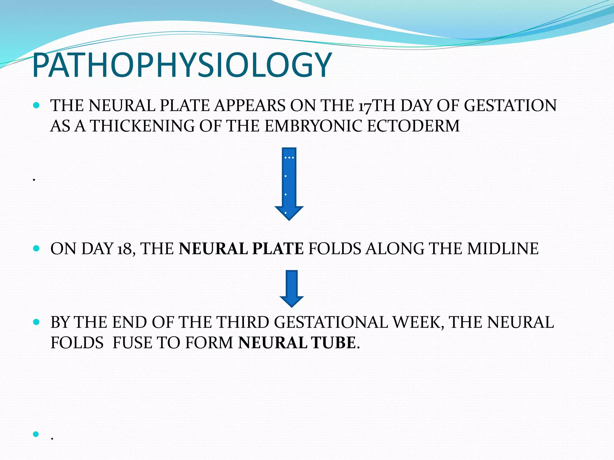 Neural tube defect presentation | PPTX