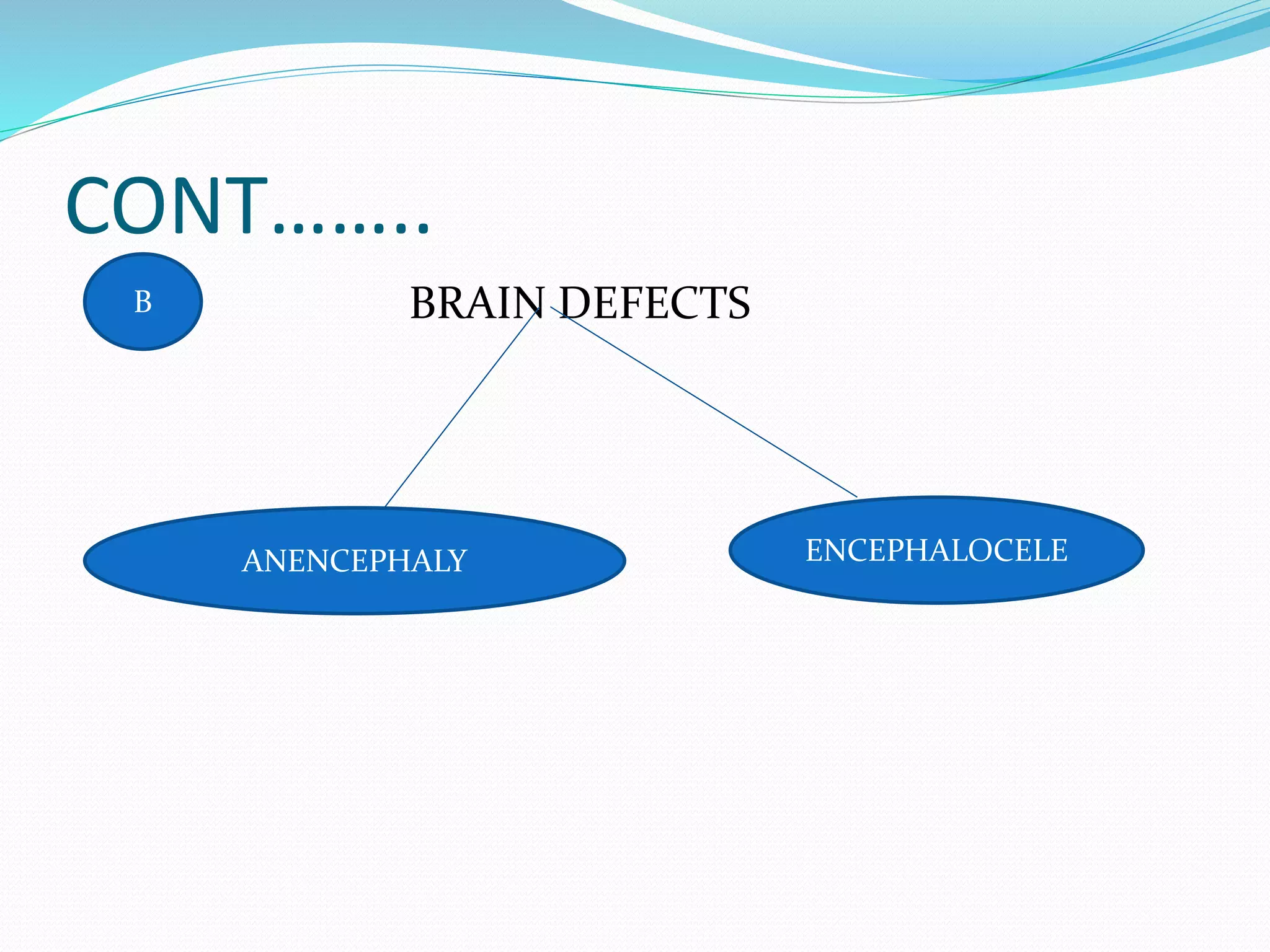 Neural tube defect presentation | PPTX