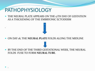 Neural tube defect presentation | PPTX
