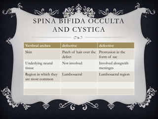 Neural tube defects | PPTX | Brain and Nervous System Disorders ...