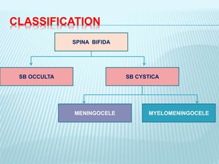 Neural tube defects | PPTX