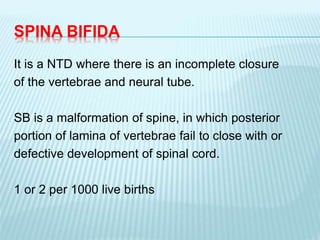 Neural tube defects | PPTX
