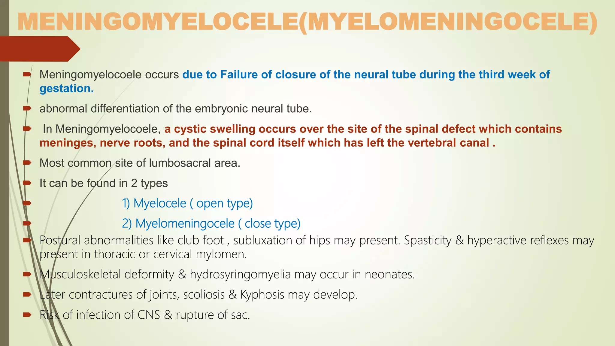Neural tube defects | PPTX
