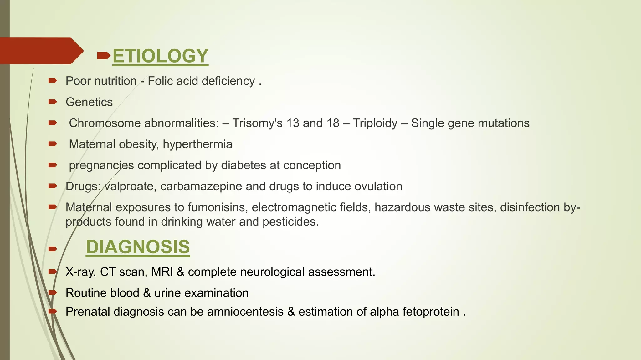 Neural tube defects | PPTX
