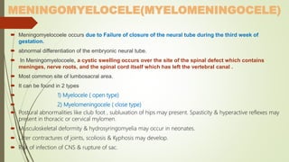 Neural tube defects | PPTX