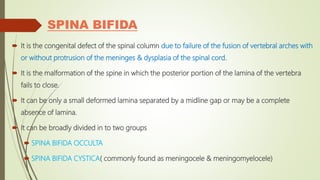 Neural tube defects | PPTX