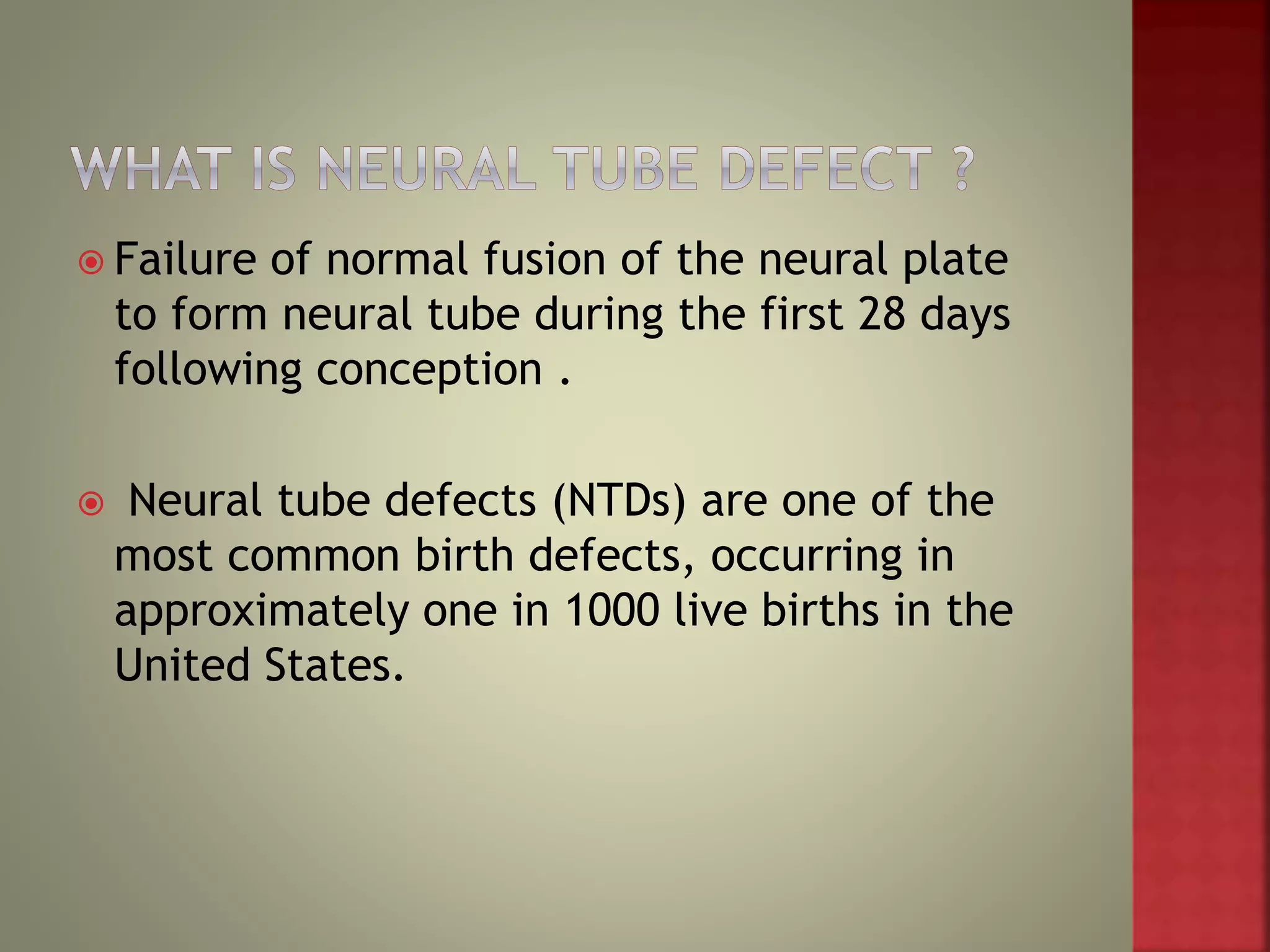 Neural Tube Defects.pptx
