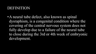 NEURAL TUBE DEFECTs.pptx