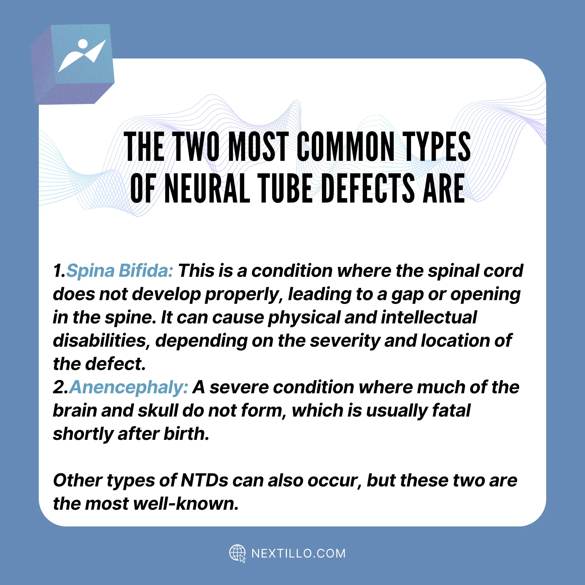 Neural Tube Defects | DIBS | Nextillo India | PDF
