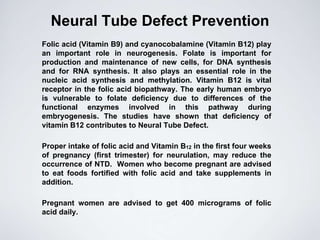 Neural tube defects: Importance of Folic Acid and Vitamin B12 intake | PPSX