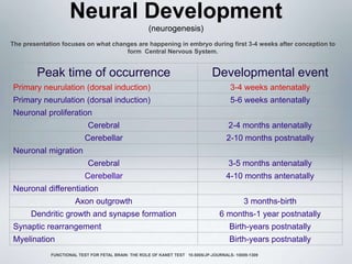 Neural tube defects: Importance of Folic Acid and Vitamin B12 intake | PPSX