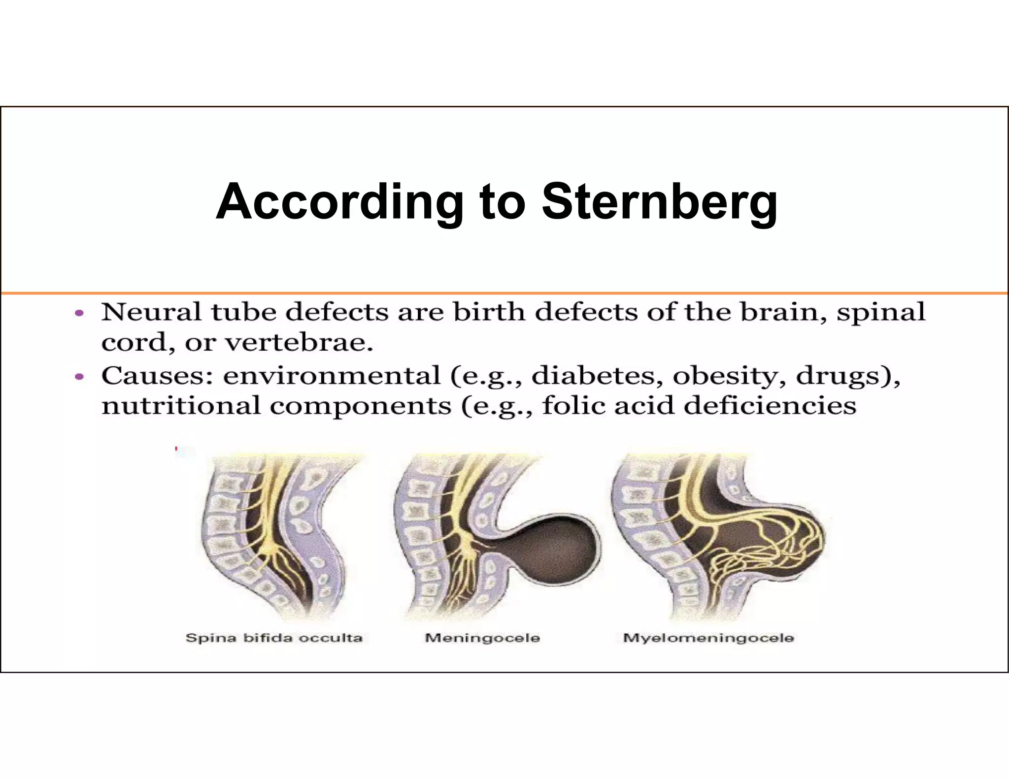 Neural tube defects and the role of folic acid in Lowering the Risk.pdf