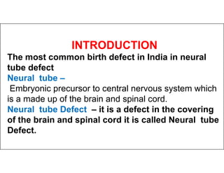 Neural tube defects and the role of folic acid in Lowering the Risk.pdf