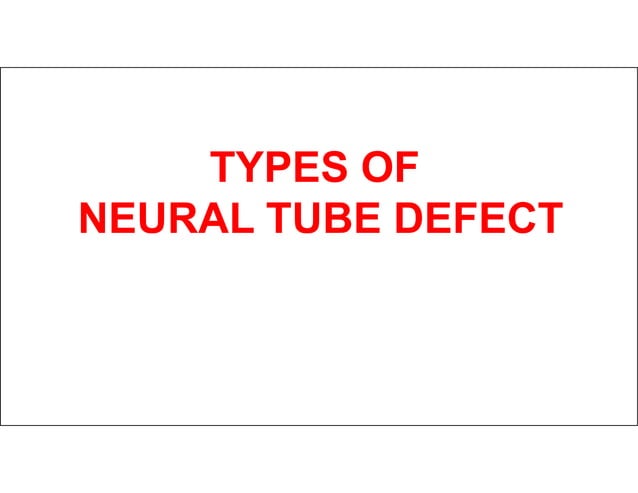 Neural tube defects and the role of folic acid in Lowering the Risk.pdf ...