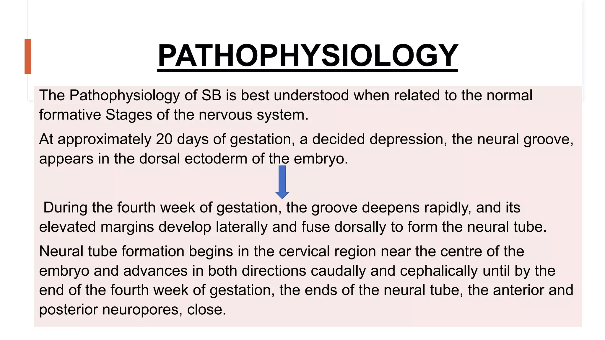 Neural tube defects (myelomeningocele) | spina bifida | PPTX