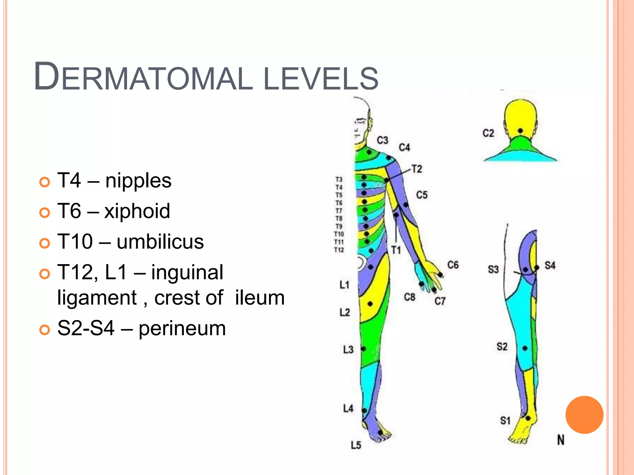 Neuraxial anaesthesia | PPTX