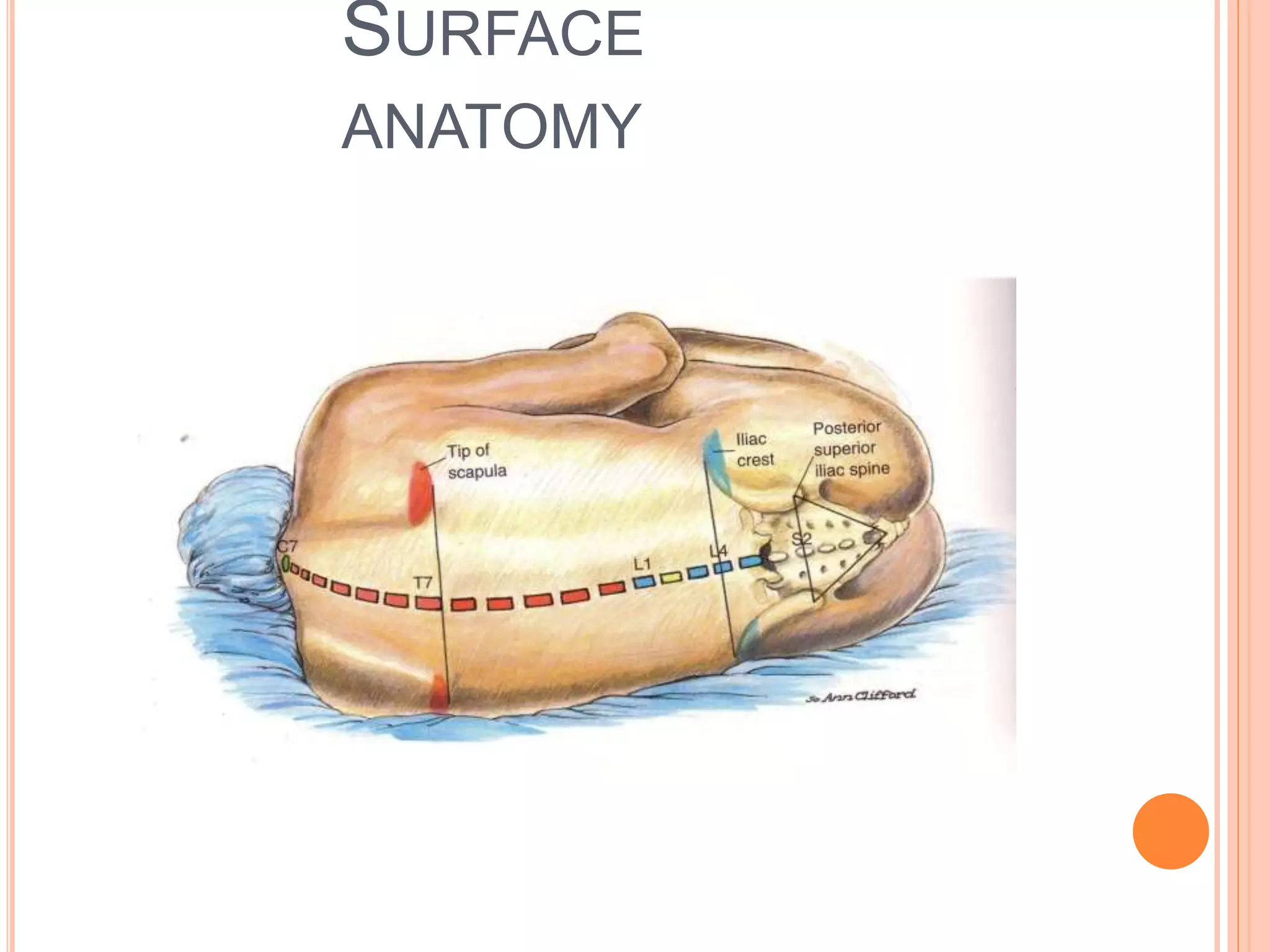 Neuraxial anaesthesia | PPTX