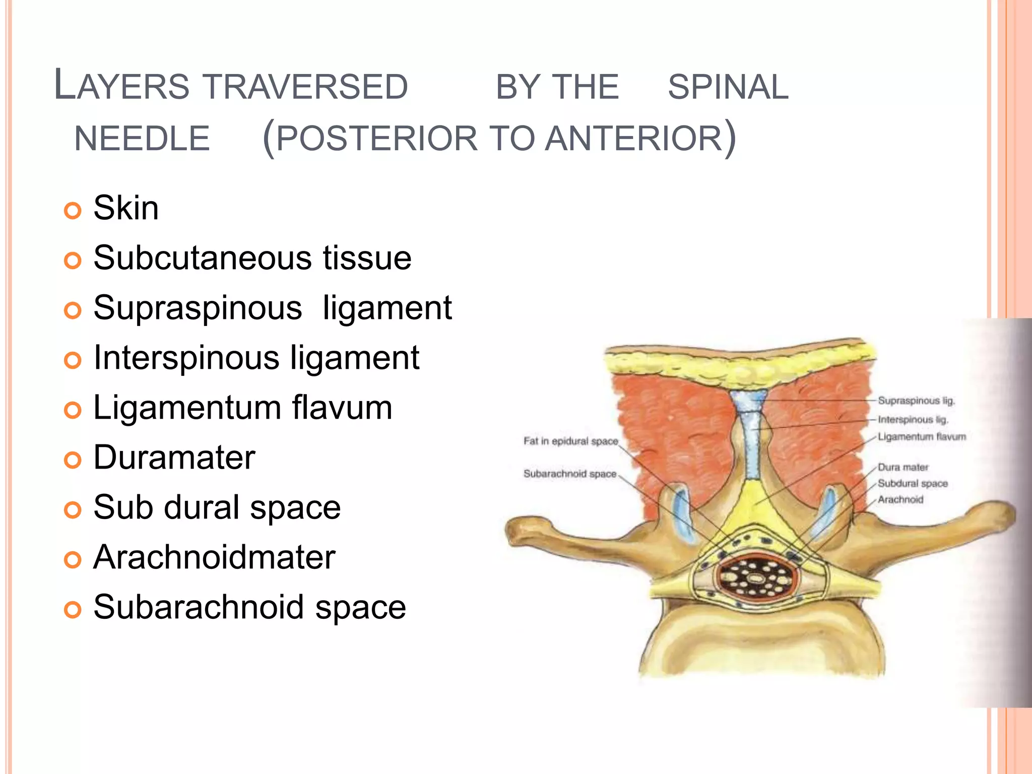 Neuraxial anaesthesia | PPTX
