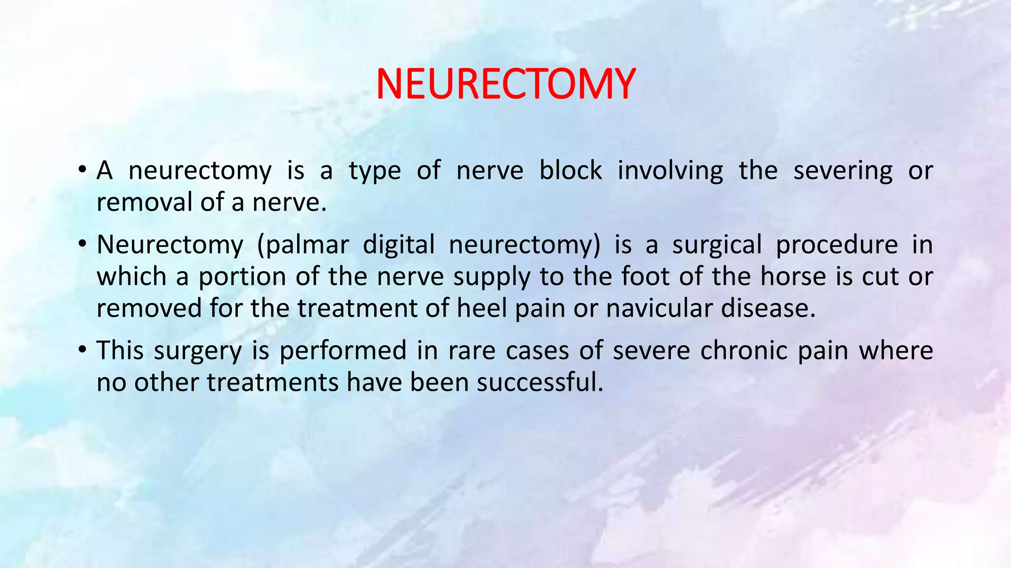 Neurectomy of limbs in equine | PPTX