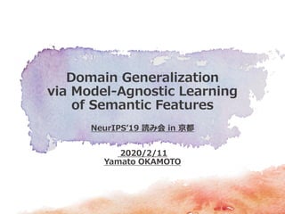 Domain Generalization via Model-Agnostic Learning of Semantic Features | PPT