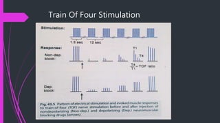 Neurmuscular monitoring | PPTX