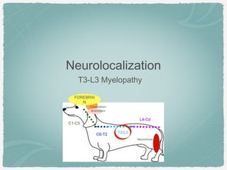 The Neuro Consult - Understanding Neurological Disease in Animals | PPT