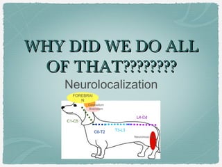 The Neuro Consult - Understanding Neurological Disease in Animals | PPT