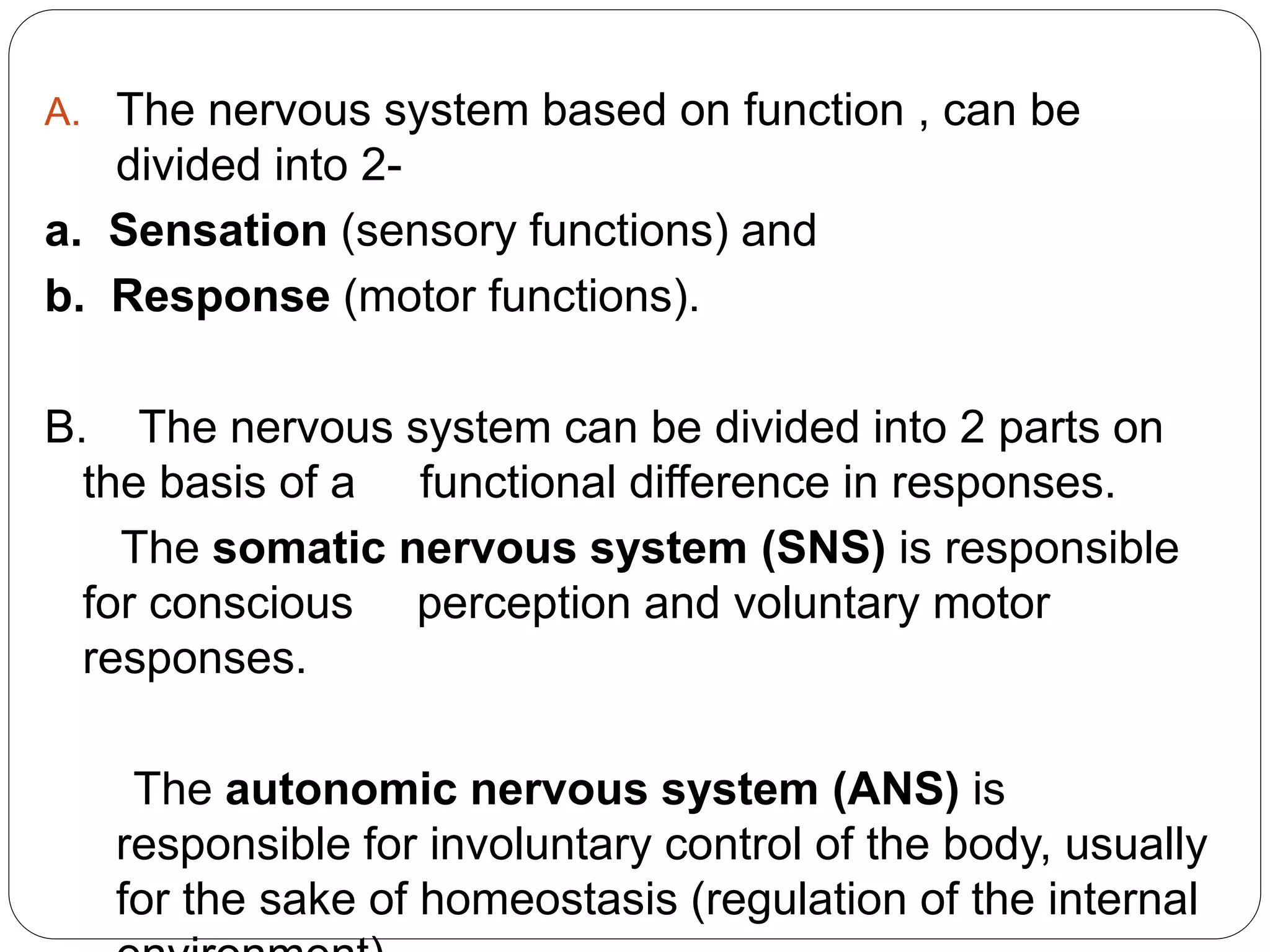 Neuro. system | PPT