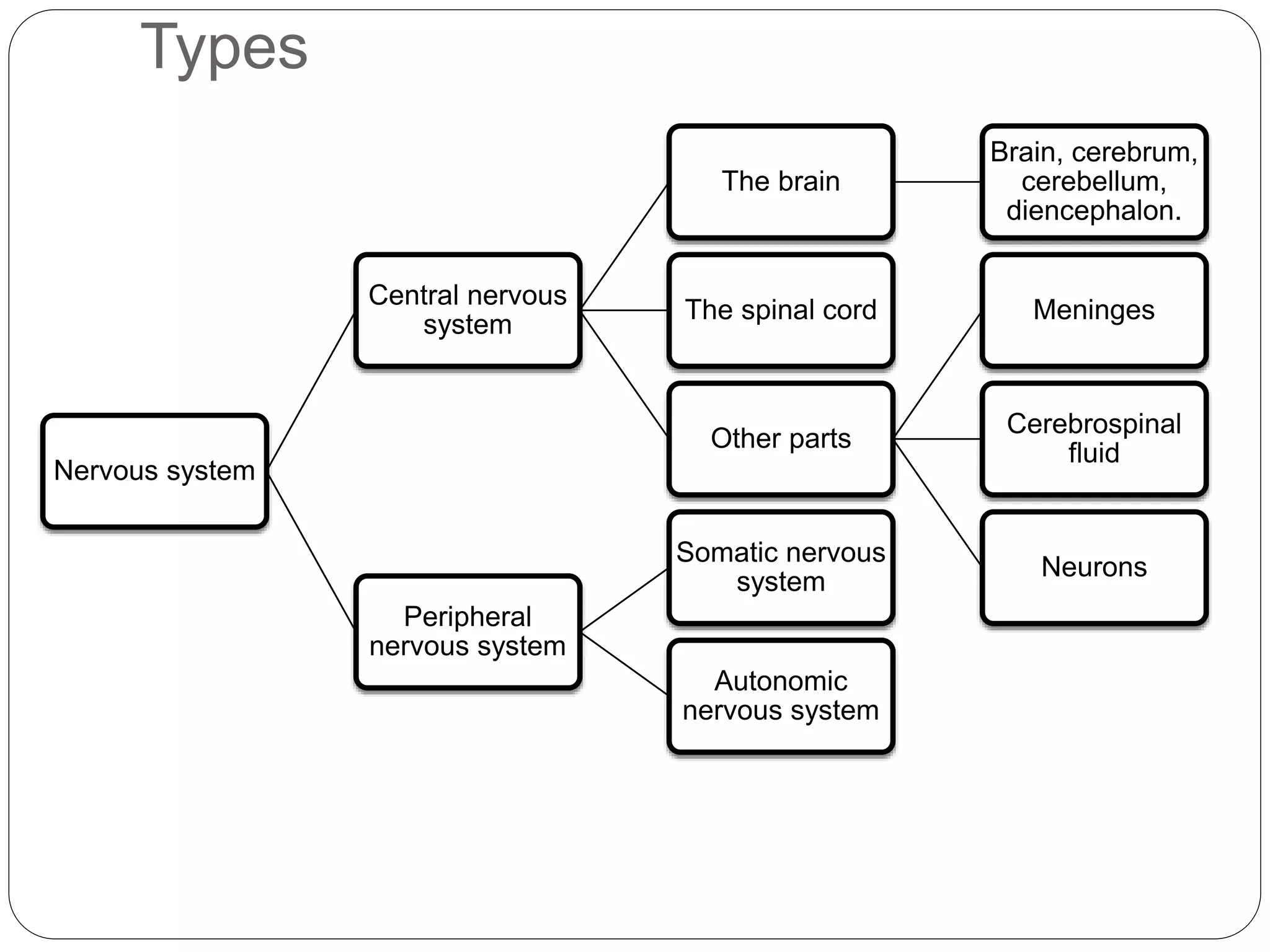 Neuro. system | PPT