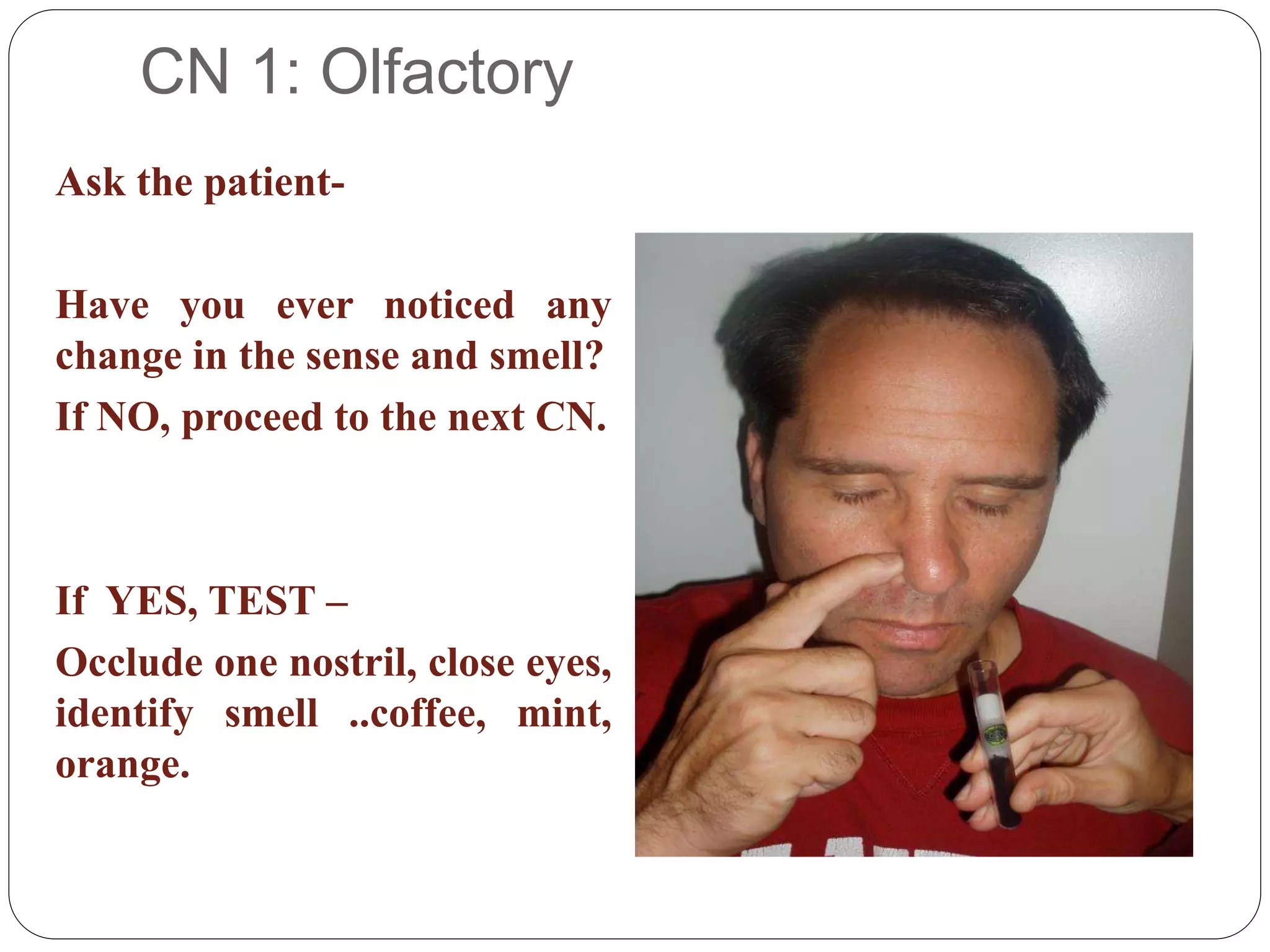 Neuro. system | PPTX