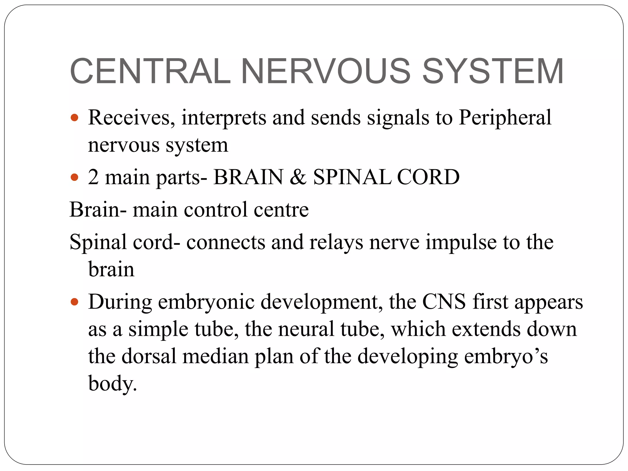 Neuro. system | PPT