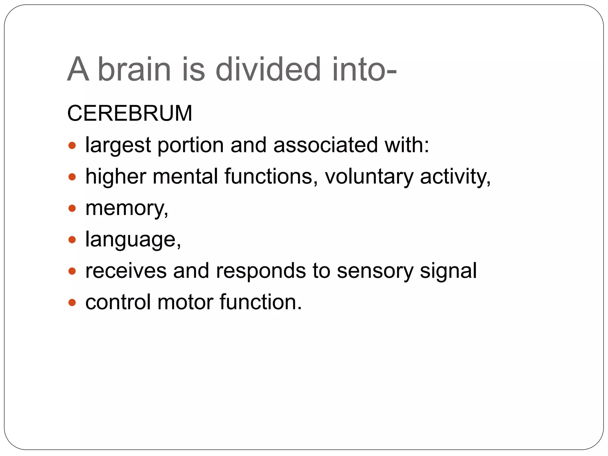 Neuro. system | PPTX