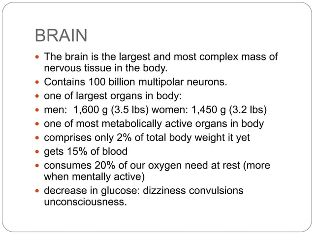 Neuro. system | PPT