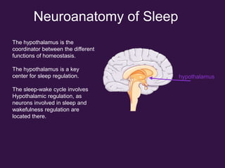Neuroanatomy of Anxiety and Sleep | PPTX