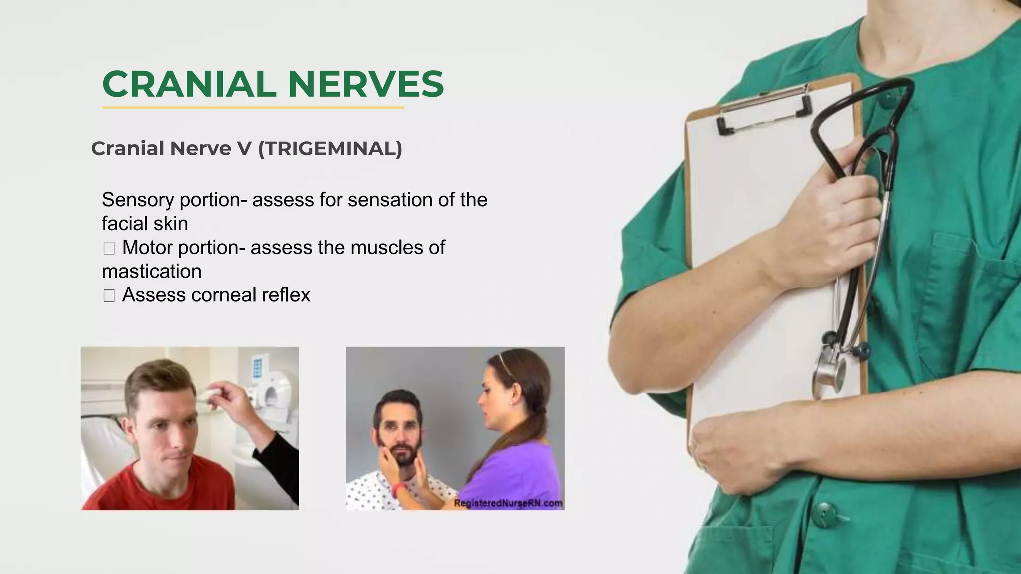 NEURO-ANAPHY-ASSESSMENT-REFLEXES - Repaired.pptx