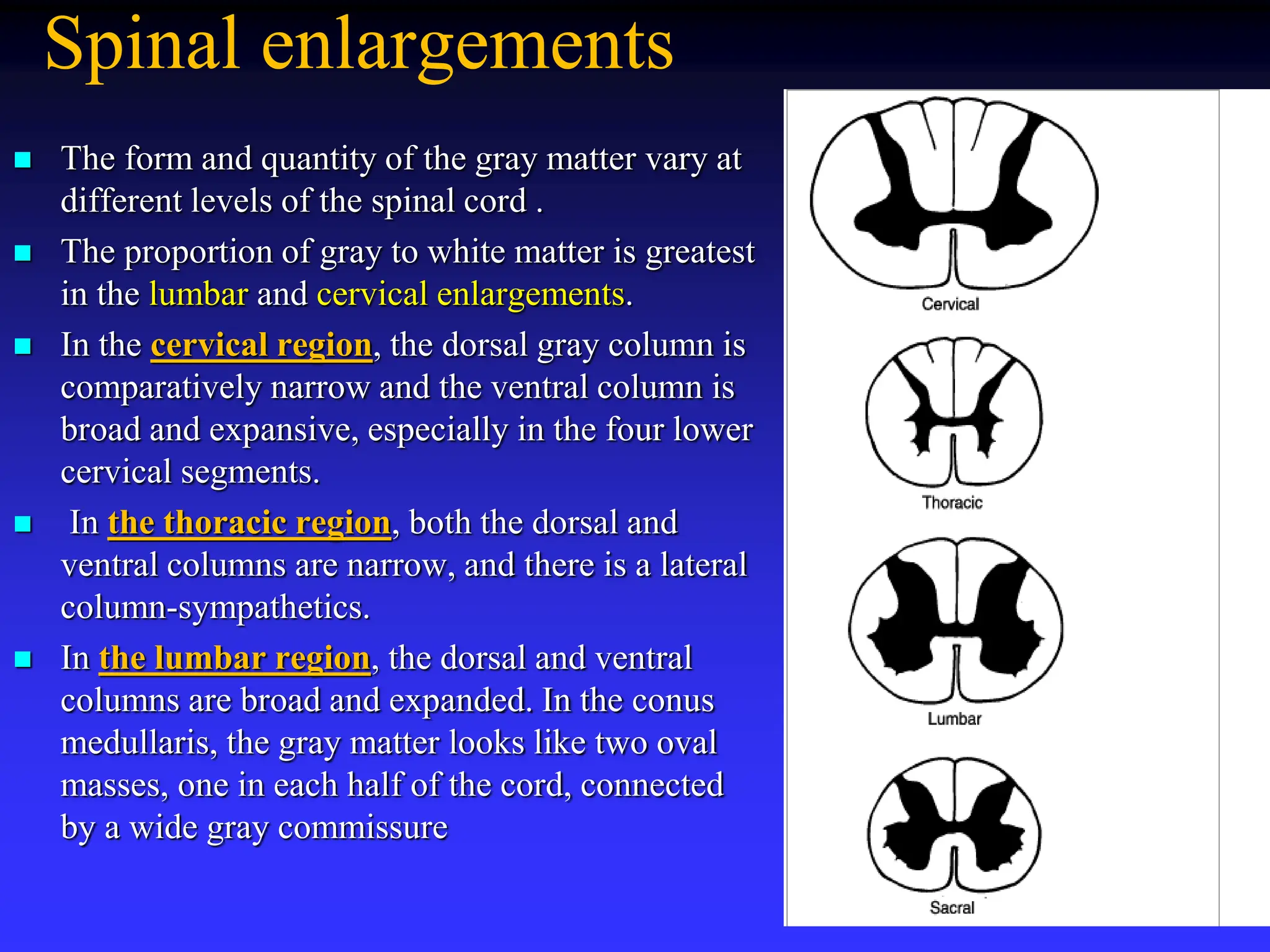 NEURO-ANATOMY ASCENDING AND DESCENDING TRACTS (1).ppt