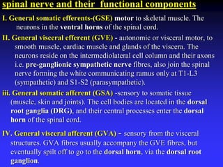 NEURO-ANATOMY ASCENDING AND DESCENDING TRACTS (1).ppt