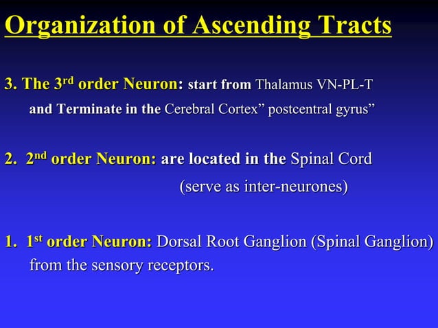 NEURO-ANATOMY ASCENDING AND DESCENDING TRACTS (1).ppt