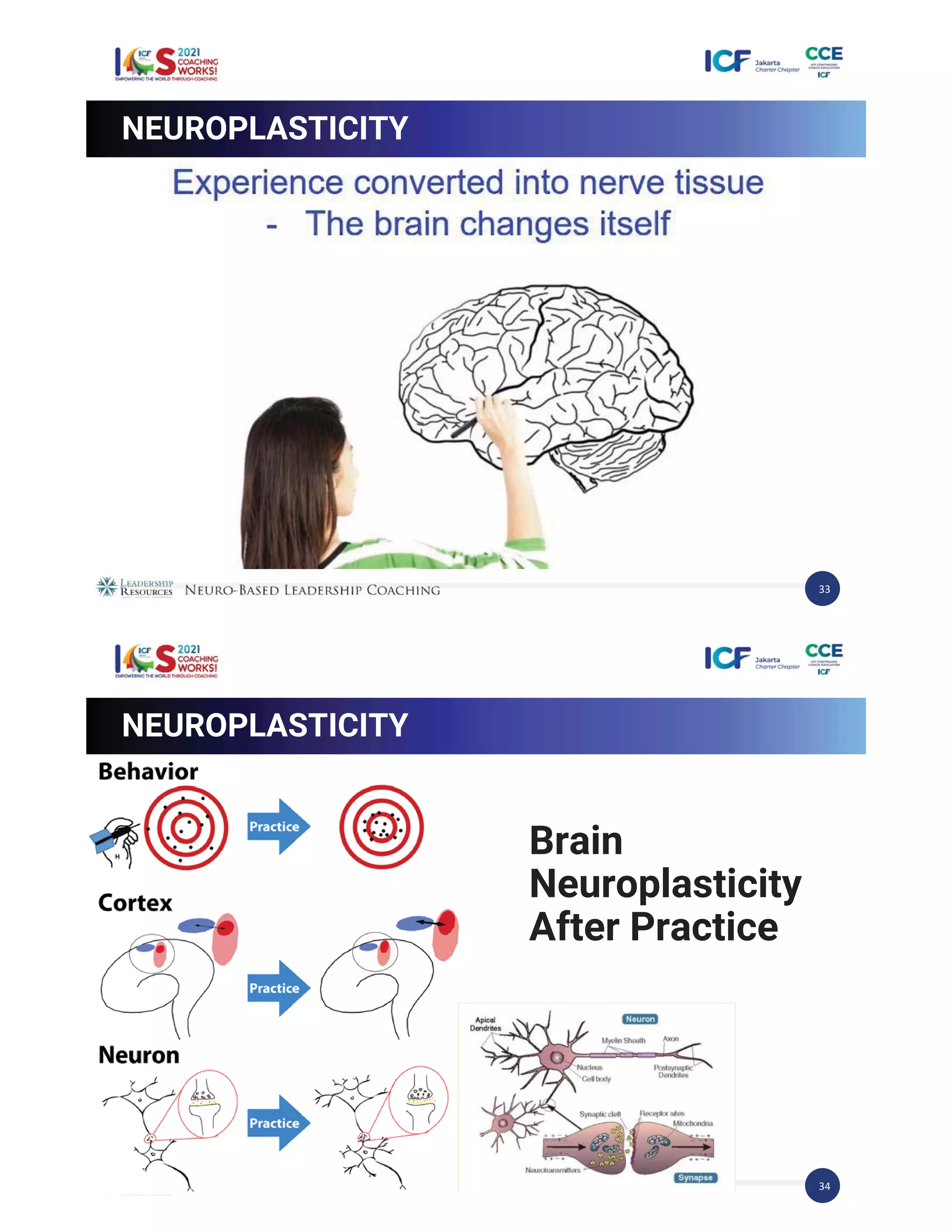 Neuro Based Leadershing Coaching by Coach Eval Wari, ACC | PDF
