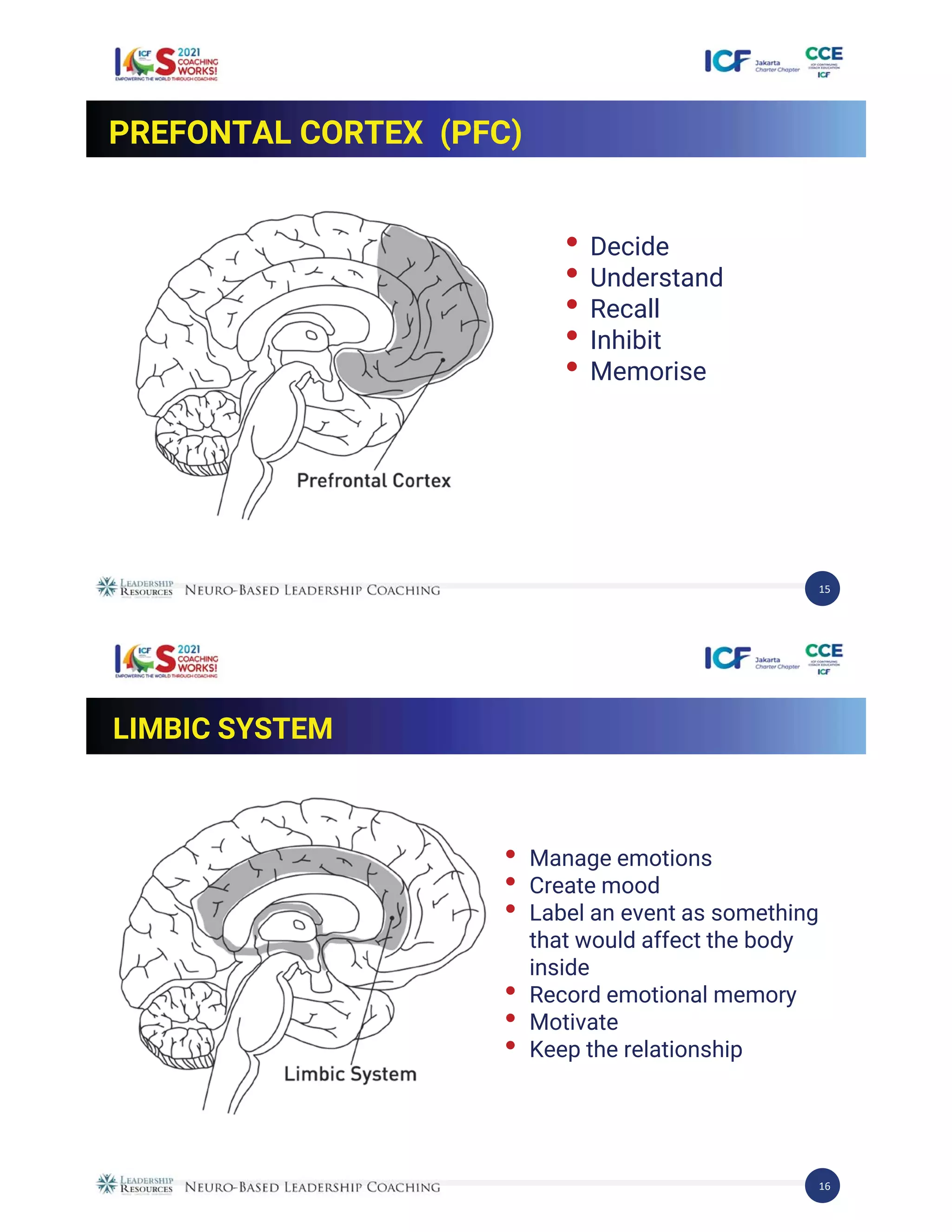 Neuro Based Leadershing Coaching by Coach Eval Wari, ACC | PDF