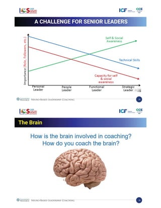 Neuro Based Leadershing Coaching by Coach Eval Wari, ACC | PDF | Web ...