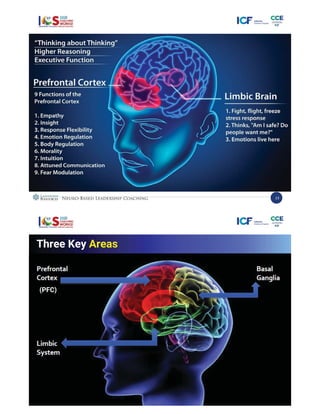 Neuro Based Leadershing Coaching by Coach Eval Wari, ACC | PDF | Web ...