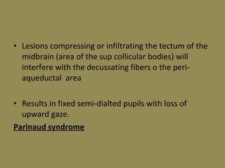 Neuro clinics 31- The pupils -basic | PPT