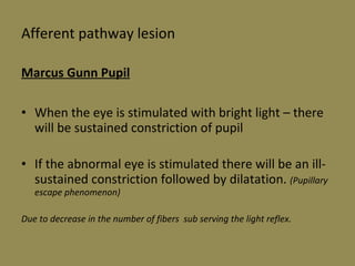 Neuro clinics 31- The pupils -basic | PPT