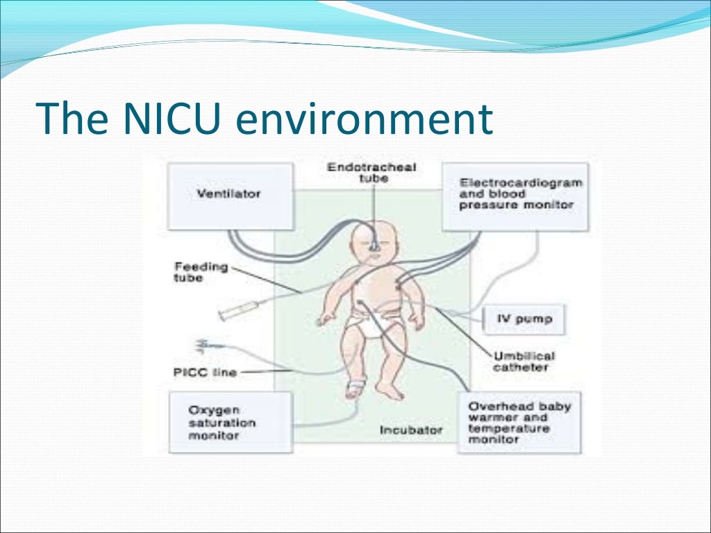 Neuro developmental care in the nicu