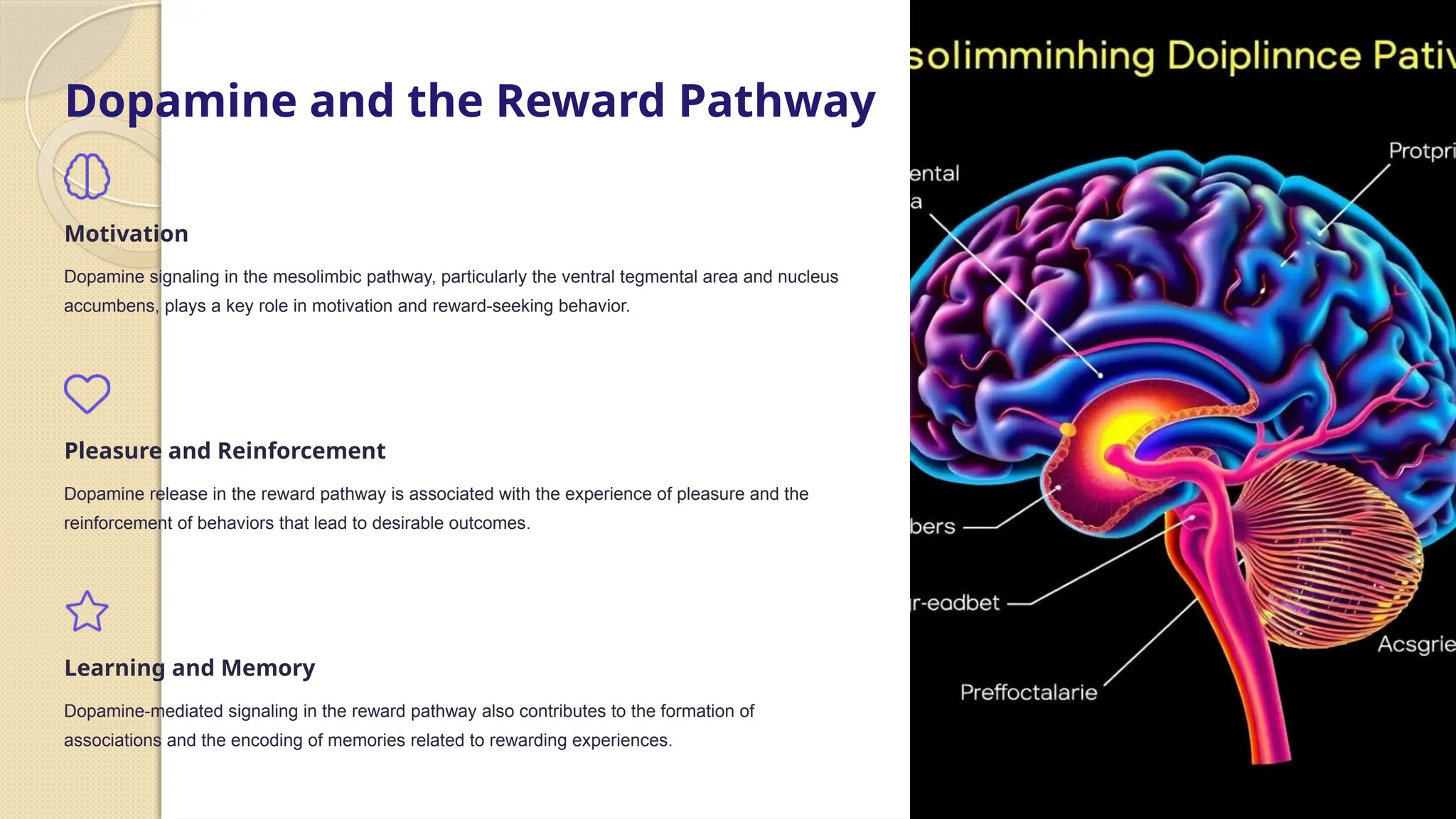 Neuro-humoral-Transmission-of-Dopamine[1].pptx