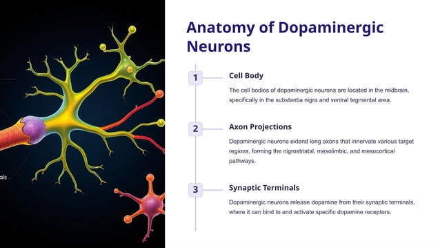 Neuro-humoral-Transmission-of-Dopamine[1].pptx