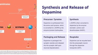 Neuro-humoral-Transmission-of-Dopamine[1].pptx