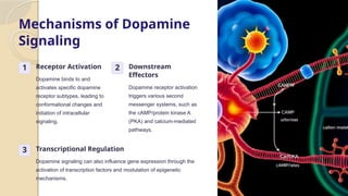 Neuro-humoral-Transmission-of-Dopamine[1].pptx